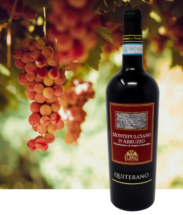 Il Crinale Di Cavino – Wine 2 Wine Imports