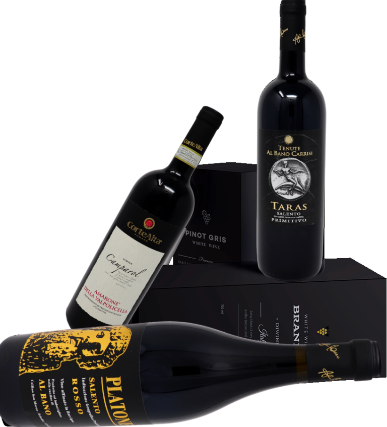 Our Wines – Wine 2 Wine Imports